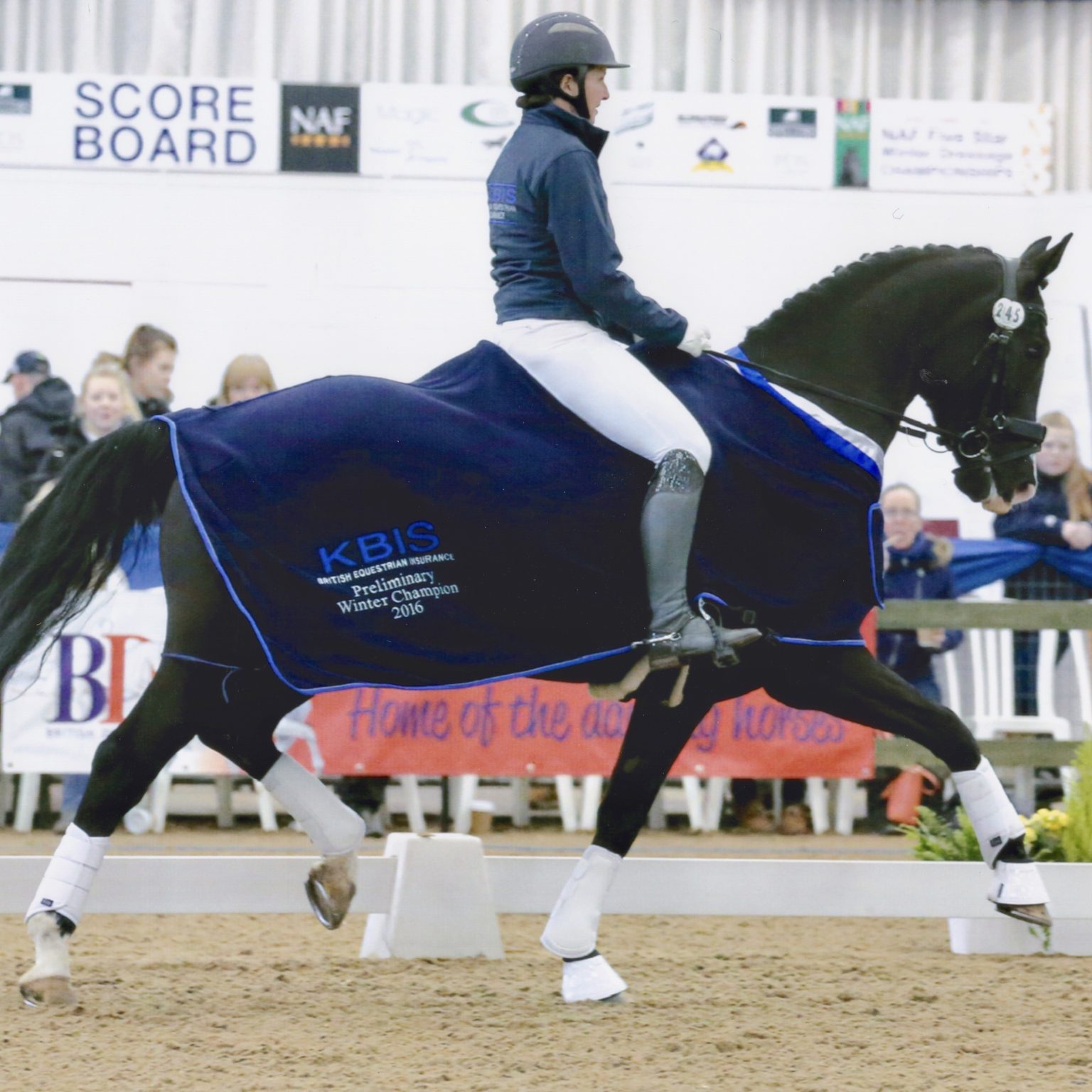 Training Program Library - Dressage Adventures