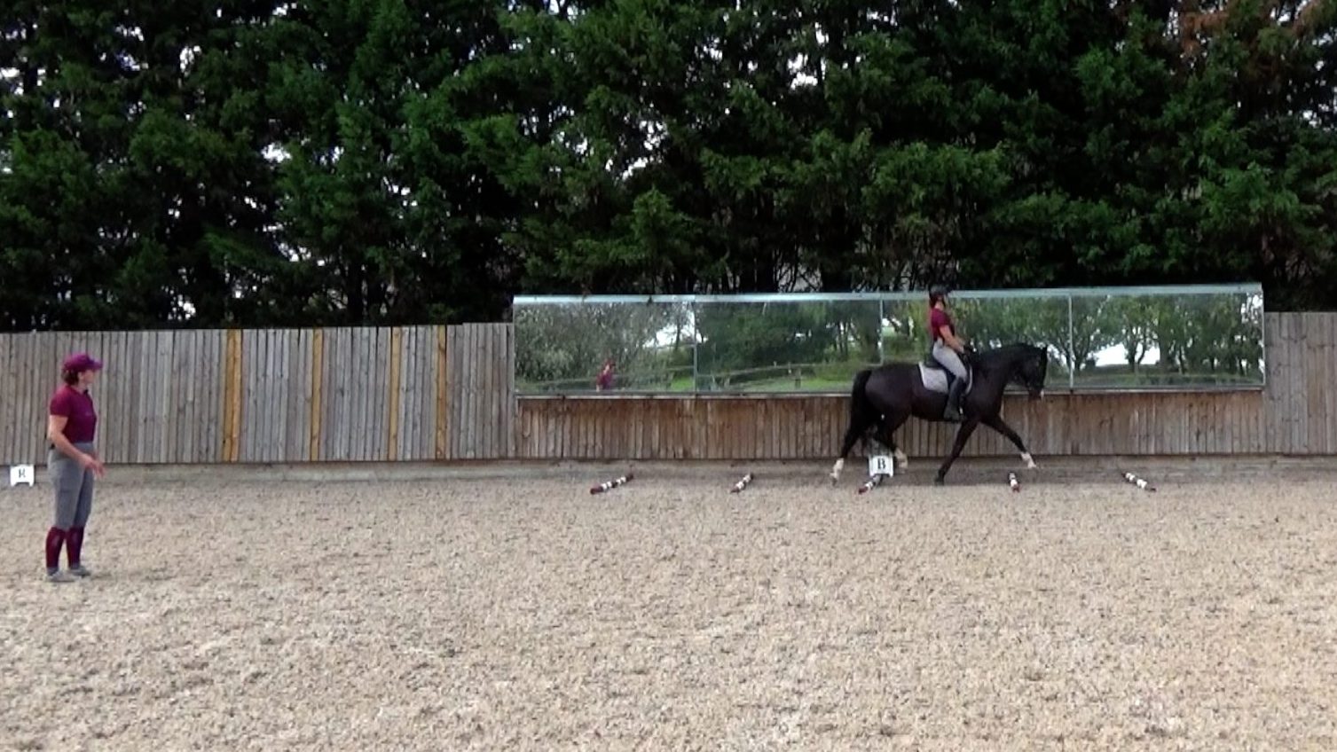 Novice / First Level – Dressage Adventures
