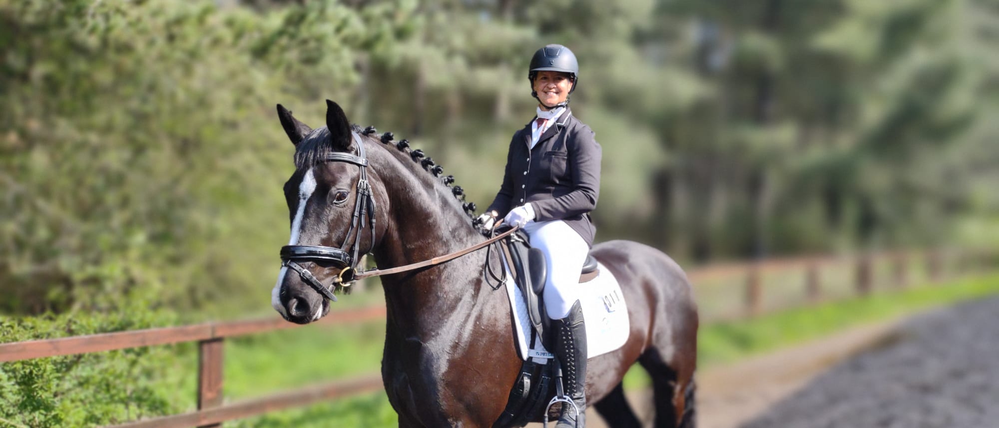 Novice / First Level – Dressage Adventures
